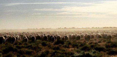 Campervan Touring Information - Broken Hill New South Wales